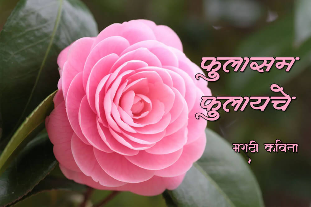 फुलासम फुलायचे मराठी कविता Marathi Kavita, Poem | Bol Marathi